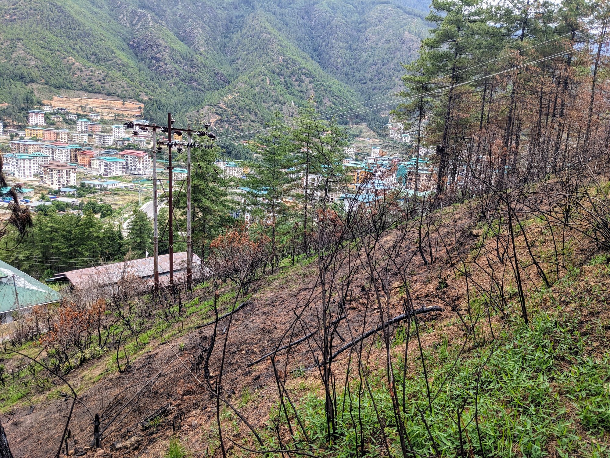 Bhutan Forest Fire Exposure Index: Enhancing Resilience Through ...