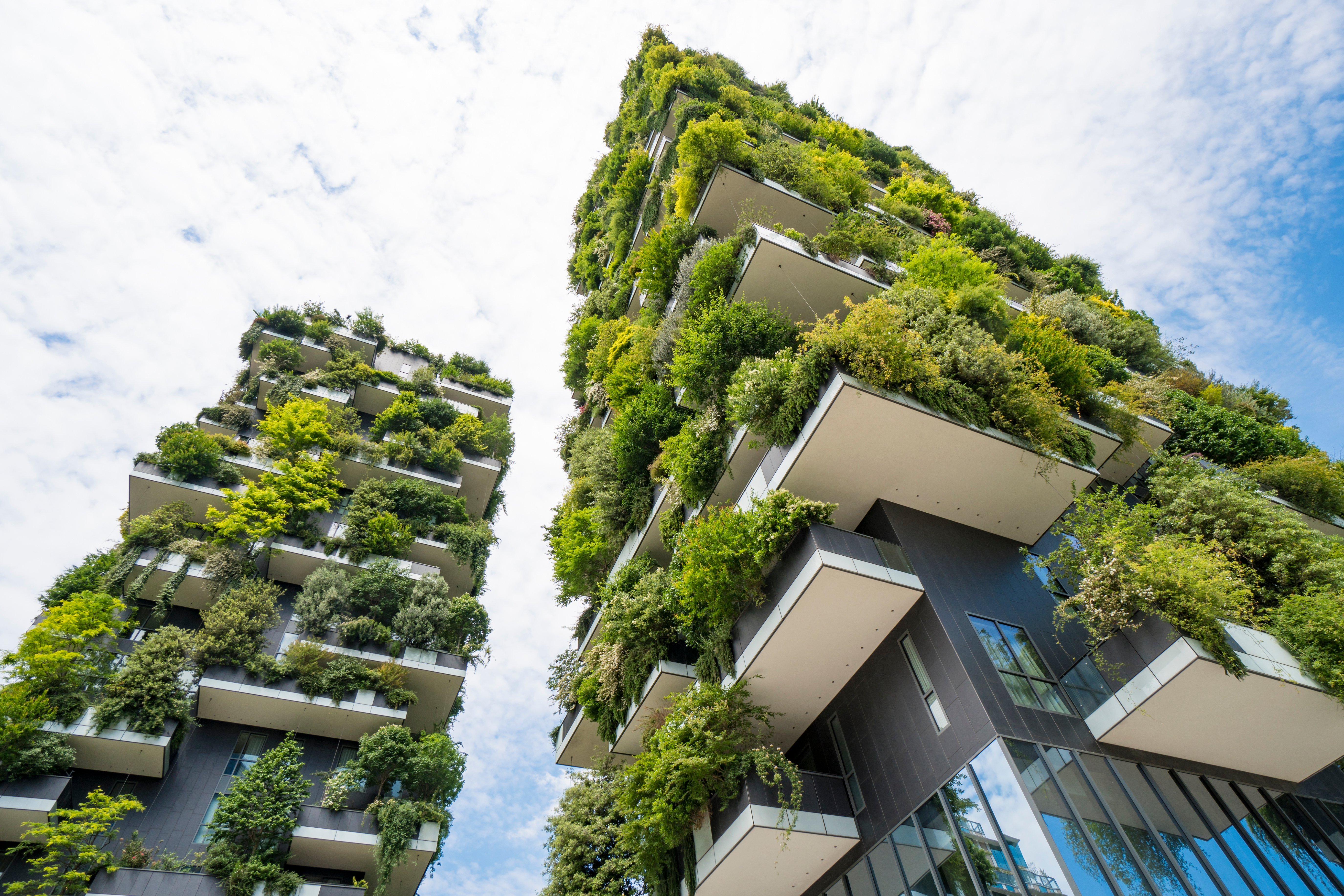 Definition: Climate Change Adaptation