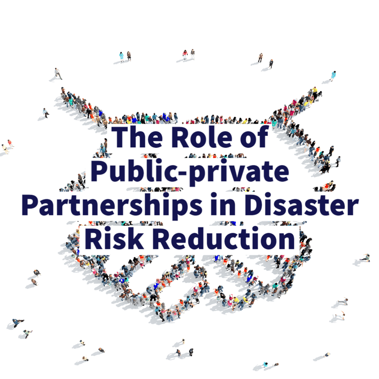 The Role of Public-private Partnerships in Disaster Risk Reduction
