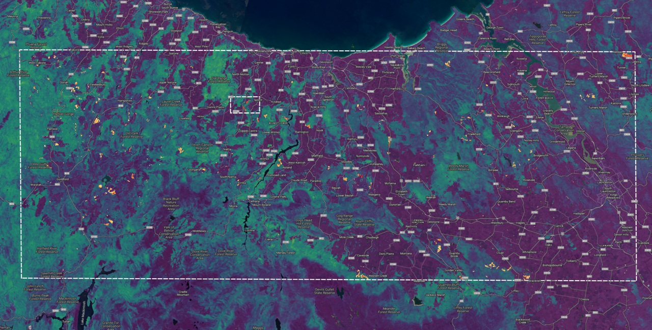 Monitoring Forest Clearing Using Satellite Data and AI-Derived Vegetation Height