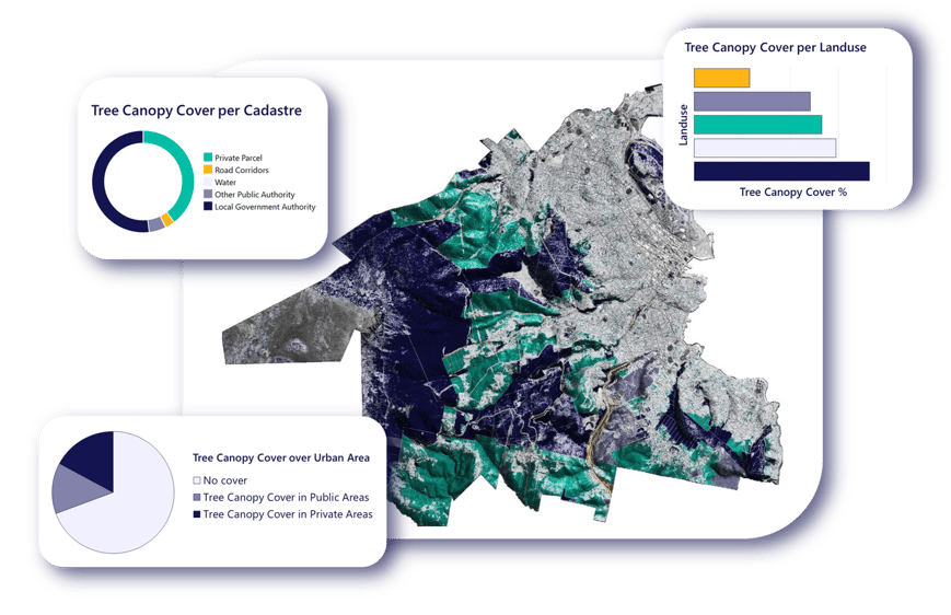 Case Study: Tree Canopy Mapping in the City of Hobart