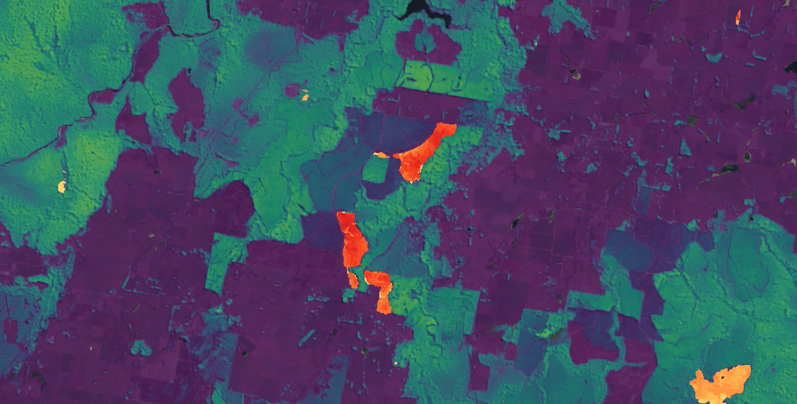Tracking Vegetation Change: Geoneon’s Mapping of Tasmania’s Vegetation