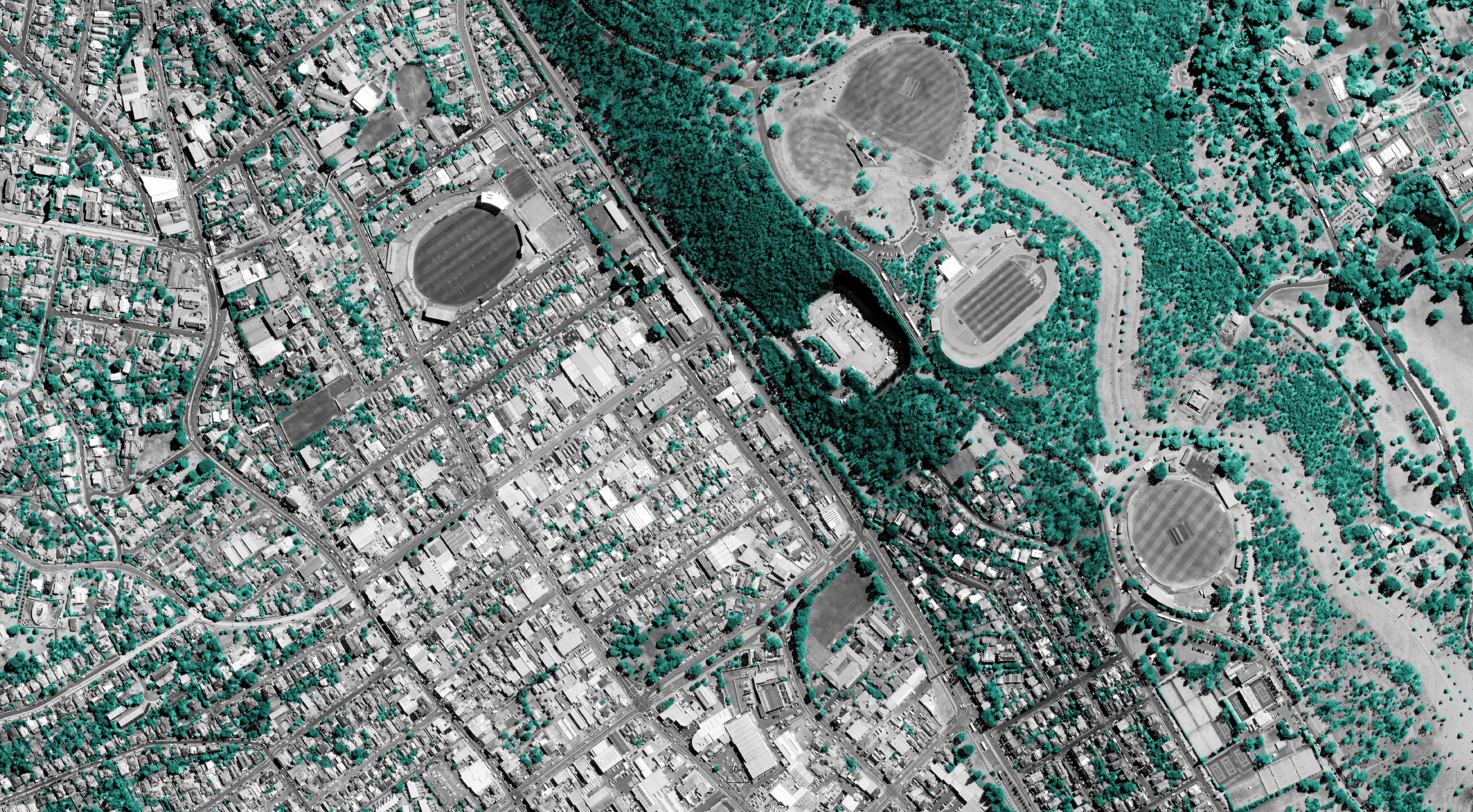 Case Study: Tree Canopy Mapping in the City of Hobart