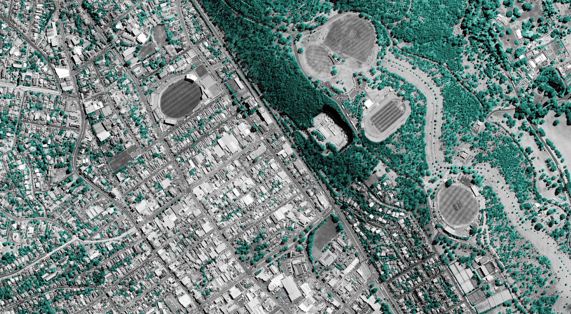 Advantages of a Combined EO and AI Approach to Disaster Risk Reduction