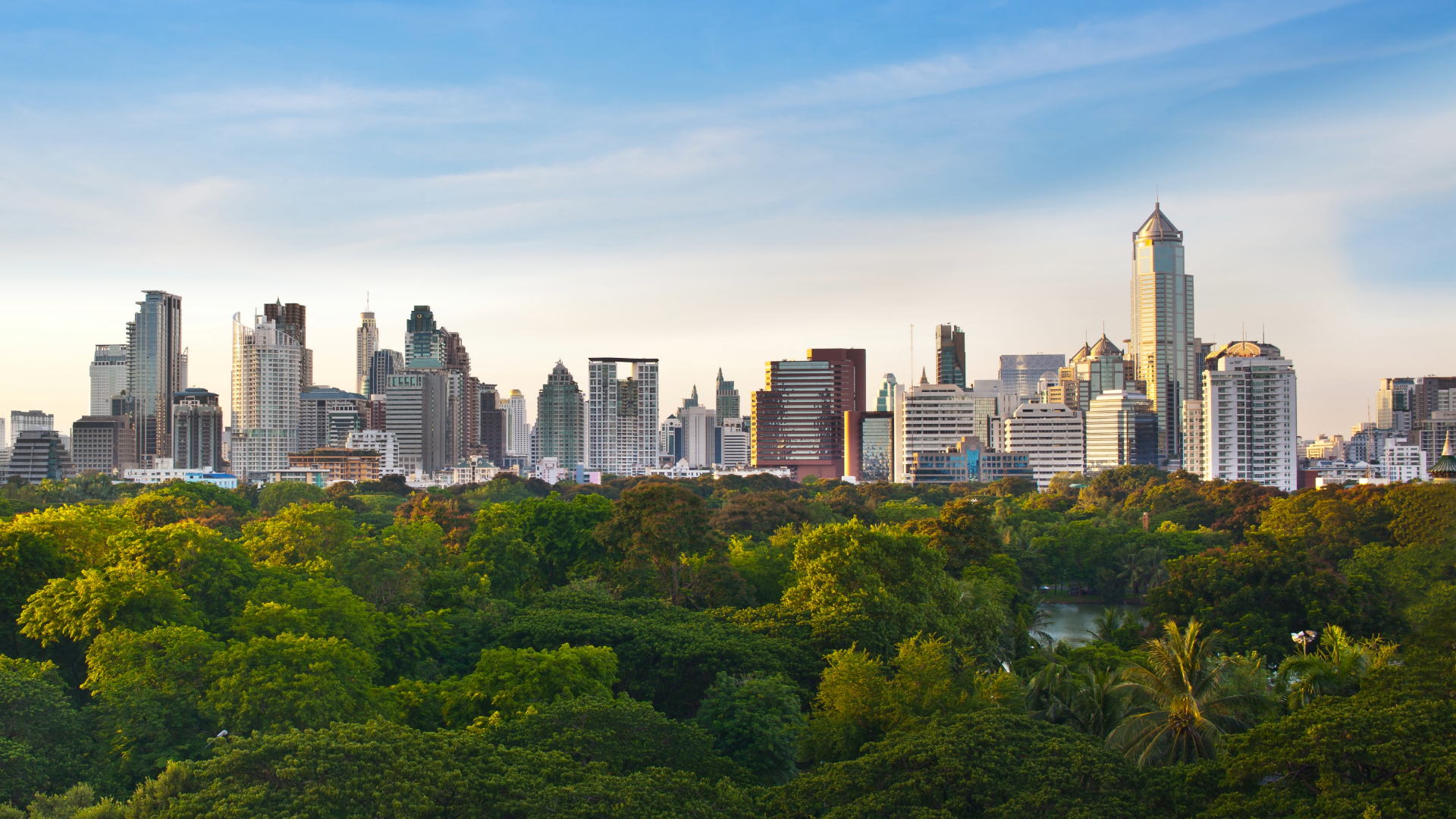 What are Urban Forests?